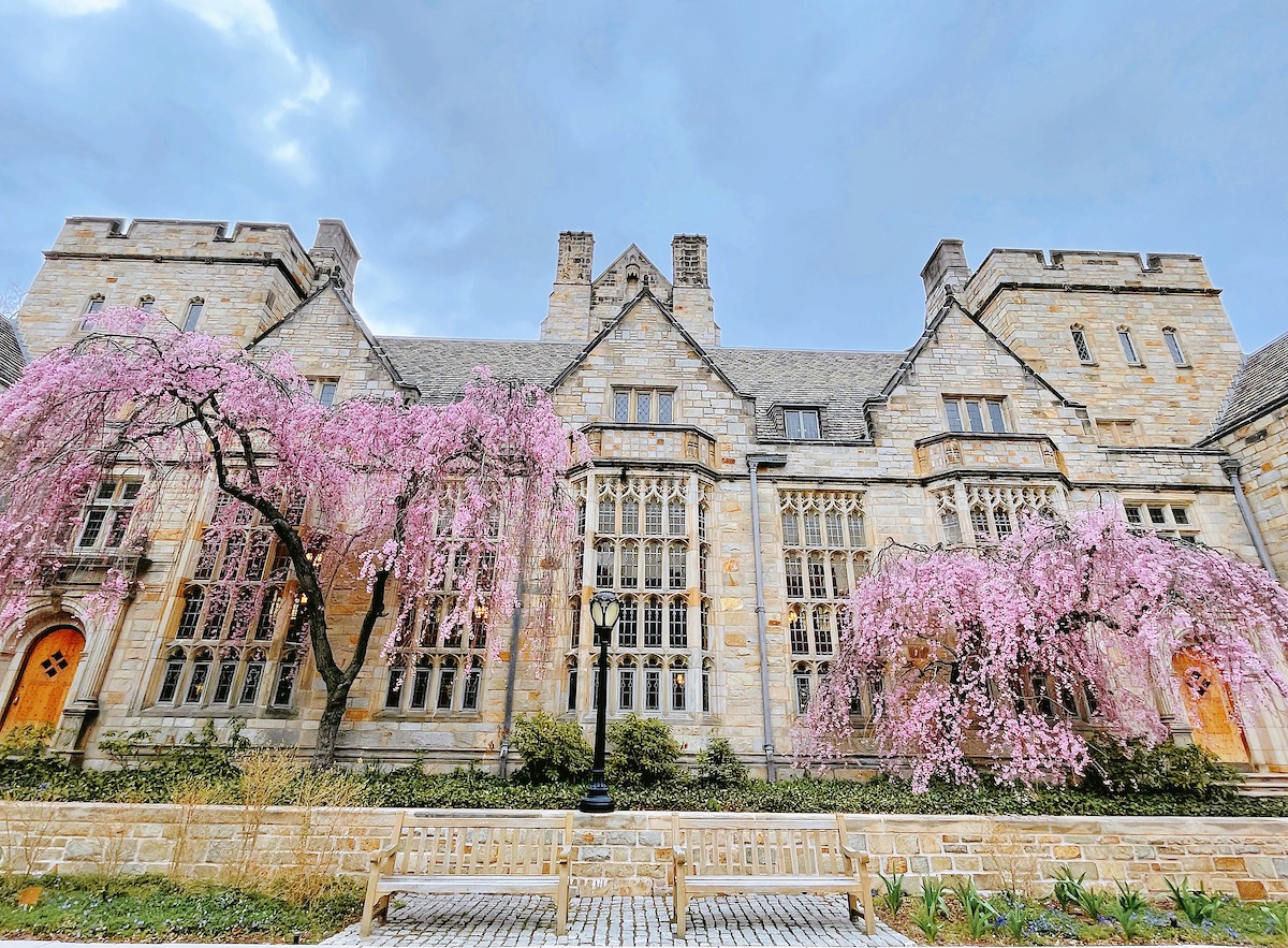 10 Of The Best JD MBA Programs | Tuition Fees, Average GMAT & LSAT